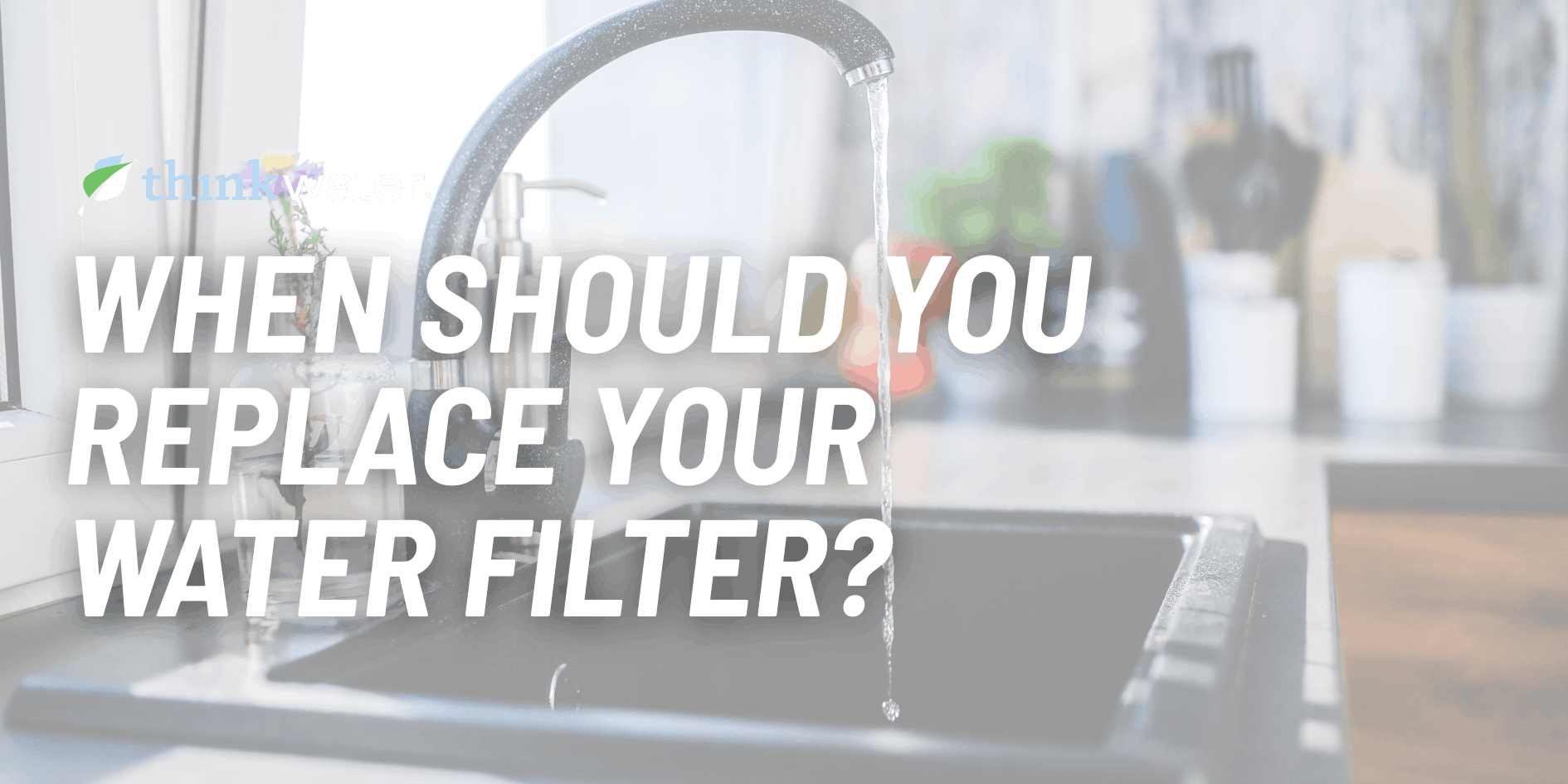 When to Replace Your Water Filter | Home Guide