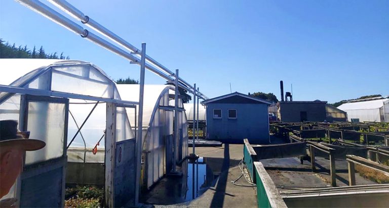 Frost Protection with Europress - Invercargill - Think Water Southland